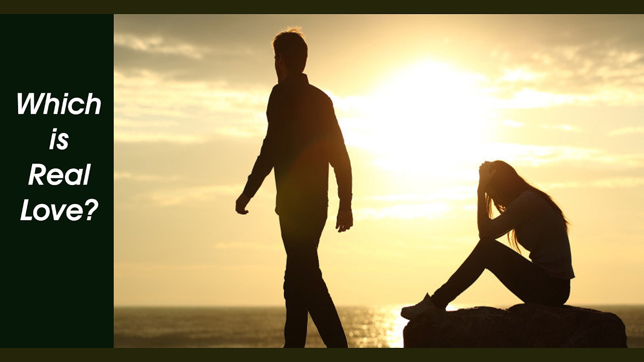 Which is Real Love? - YouTube