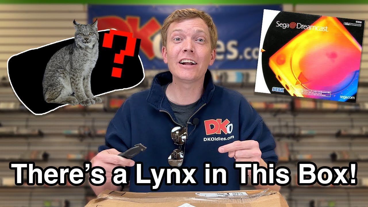 There’s a Lynx in This Box! - YouTube