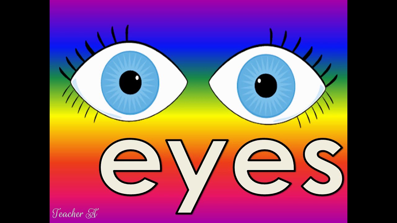 Parts of the Face for Kids | Learn Face Parts | My Face | Face Parts in ...