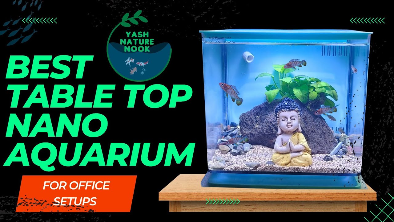 Best table top aquarium | nano planted aquarium | Easy setup | low ...