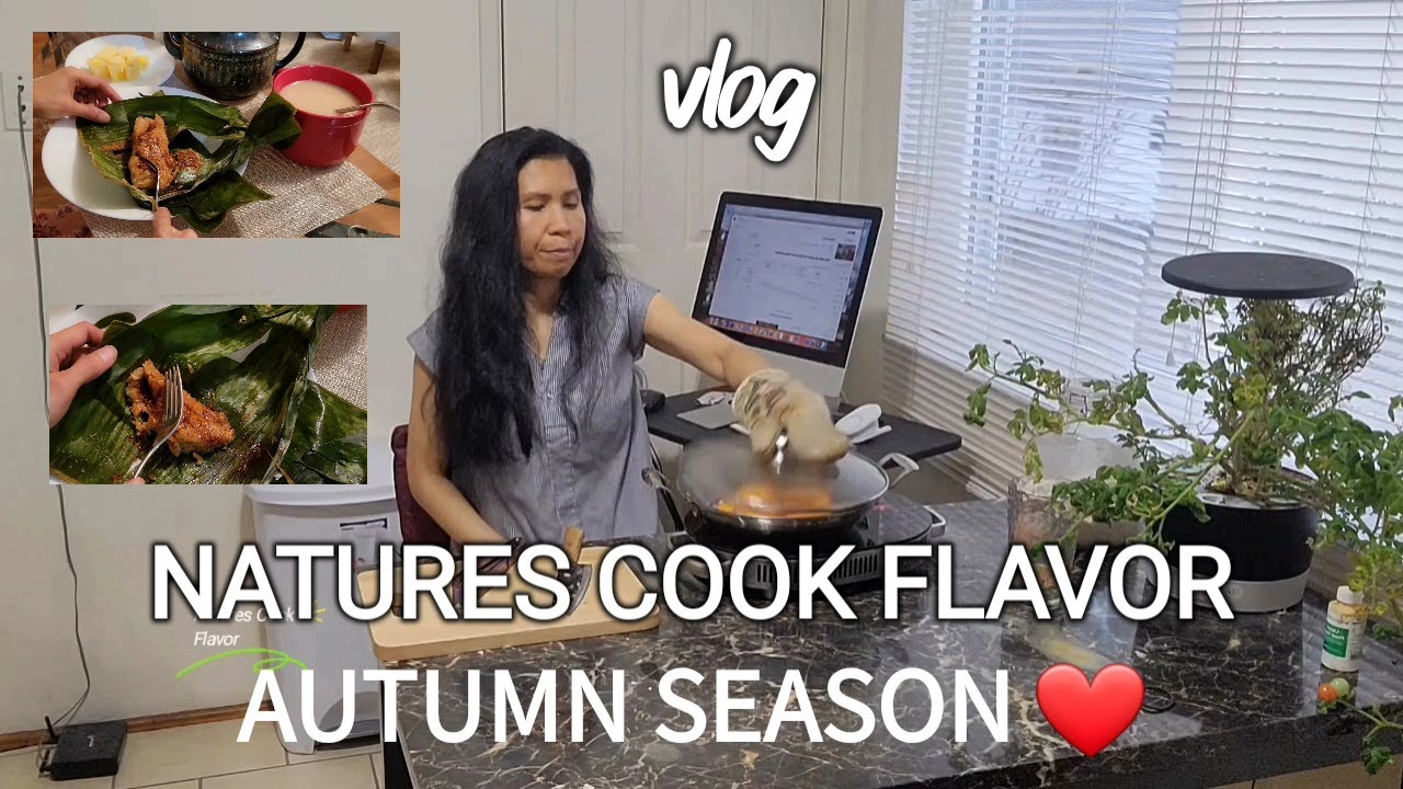 LIFE 'AUTUMN SEASON; VIA FOUND REAL METEOR IN REAL LIFE 'JOURNEY? VIA ...