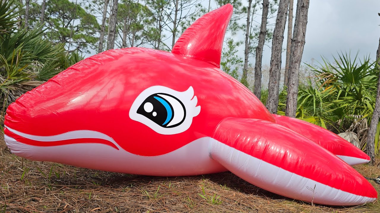 Bright Red 3-Meter-Long Pool Toy Whale Inflation - YouTube