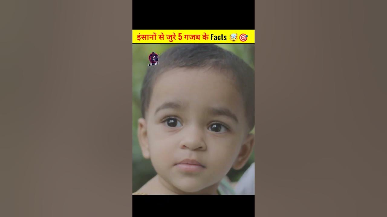 5 5 Amazing Facts About 5-5-amazing-facts-about
