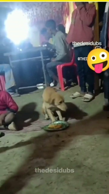 FUNNIEST Shorts EVER! 🤪Try not to laugh#trending#shorts#viralshorts fyp ...