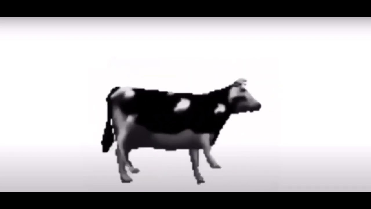 Dancing cow meme - YouTube