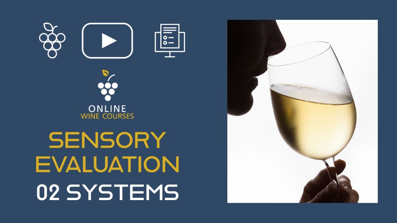 02 Wine Systems | Sensory Evaluation & Wine Tasting🍇Online Wine Courses ...