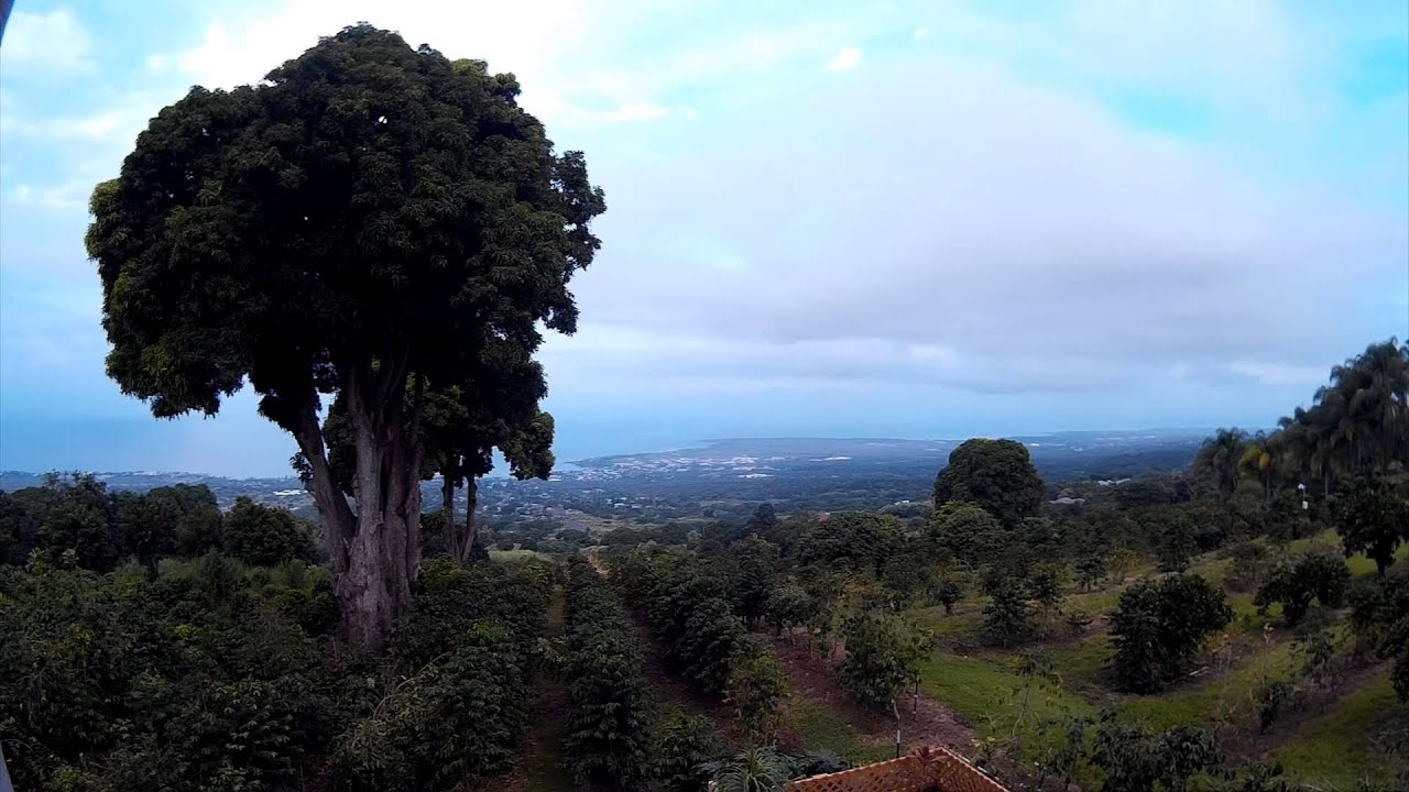Kailua-Kona Sunrise From Holualoa Coffee Farm - Big Island, Hawaii ...