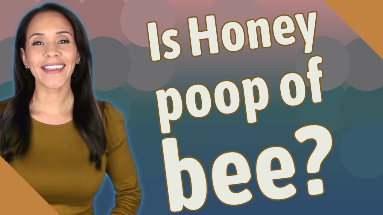 Is Honey poop of bee? - YouTube