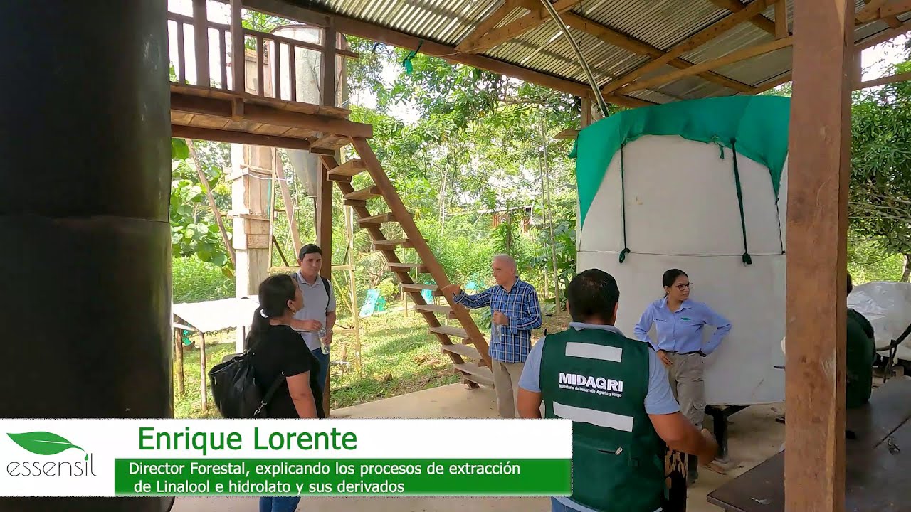 ENRIQUE LORENTE PASTOR: INVESTIGADOR DE INTELIGENCIA VEGETAL - YouTube