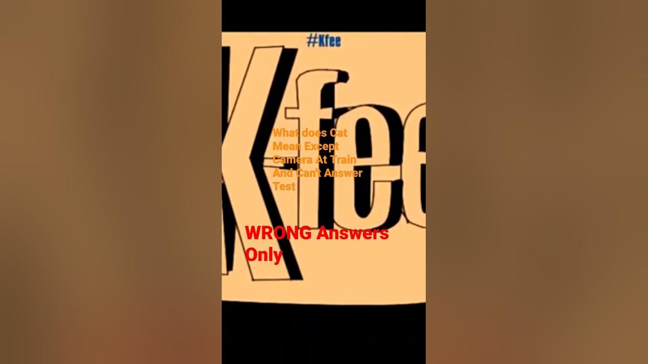 What Does Cat Mean Except Camera At Train And Can t Answer Test YouTube what-does-cat-mean-except-camera-at-train-and-can-t-answer-test-youtube
