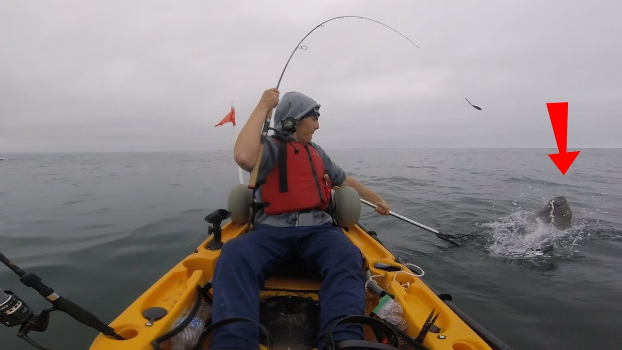 First Time Kayak Fishing… And This Halibut Went INSANE! - Santa Cruz ...