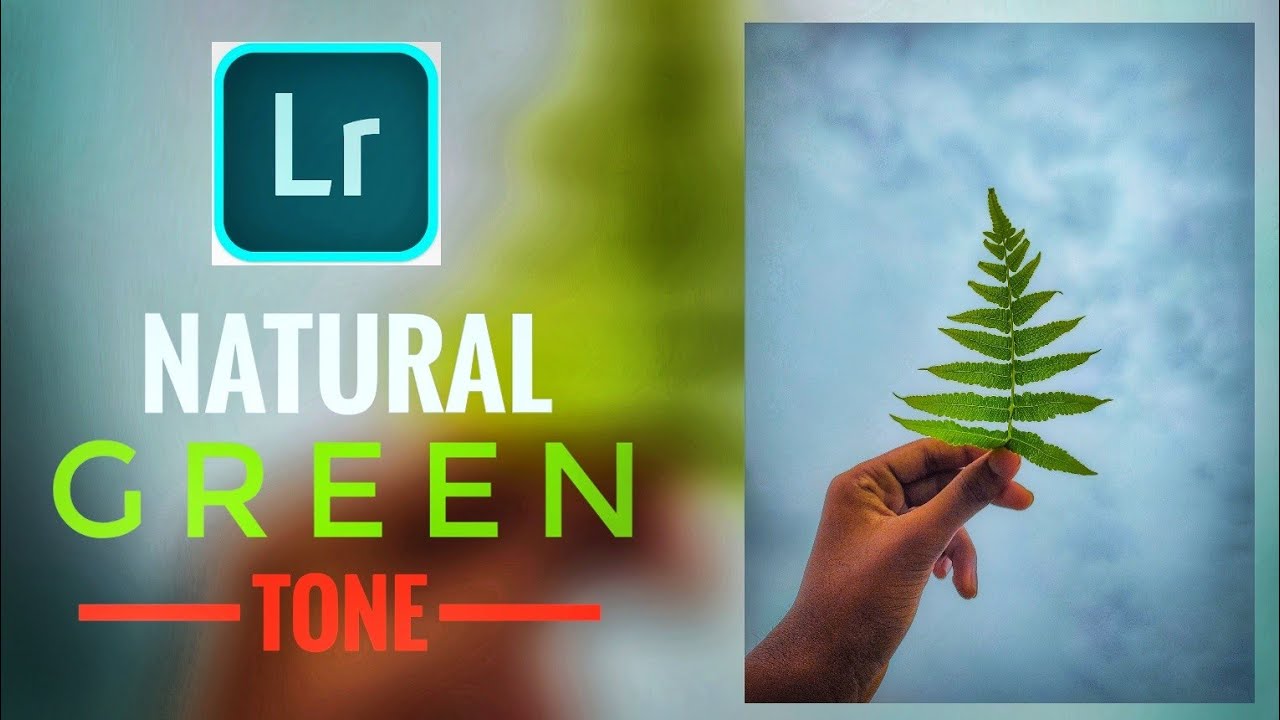 Lightroom mobile Natural Green tone effect tutorial -Veer Pictures ...