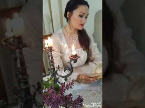 Пушкин, отрывок из романа \