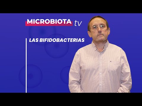Bifidobacterias, ¿qué son y para qué sirven?