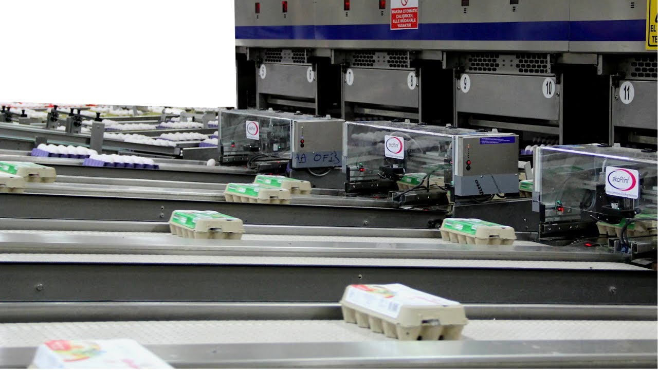 Ekoprint EP-22M Package Coding Machine on Egg Grader - YouTube