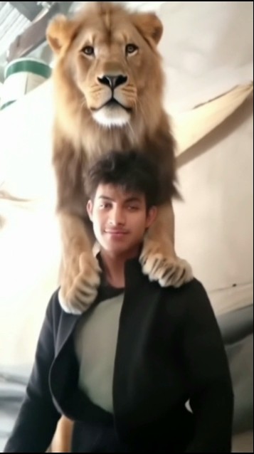 "This Is My Pat" #shorts #lion - YouTube