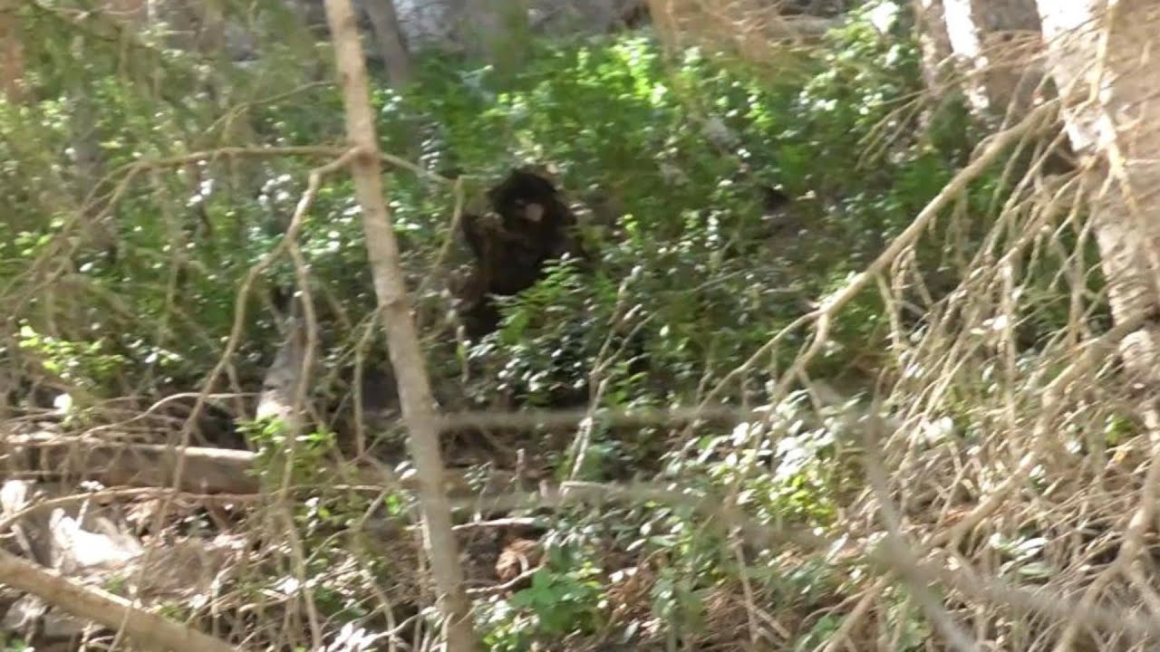 C.B a Movie "Lay Lines" The Most Clear Magic On Video🧒 Graves - How ...