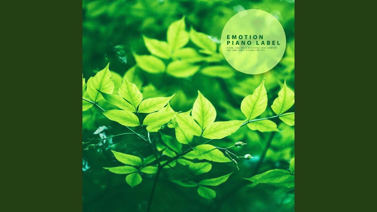 A Little Peace Within Me - YouTube