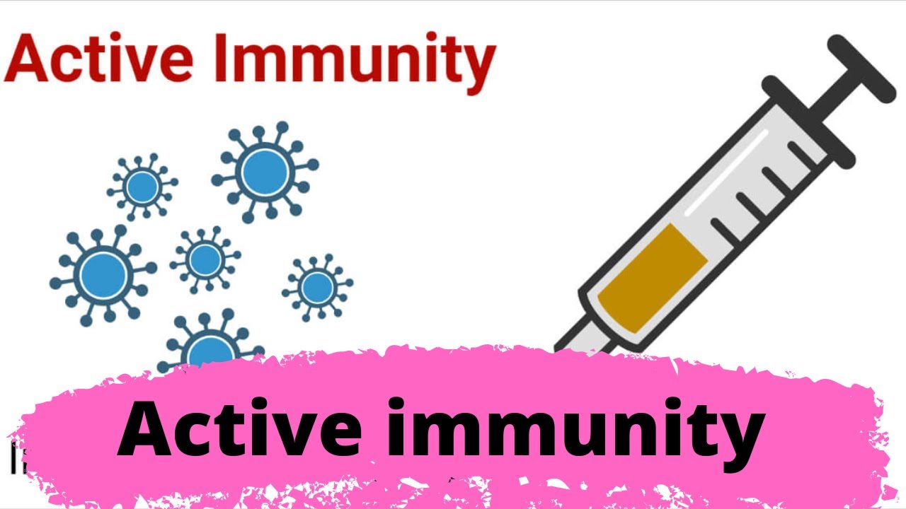 what is active immunity || active immunity || active immunity ...