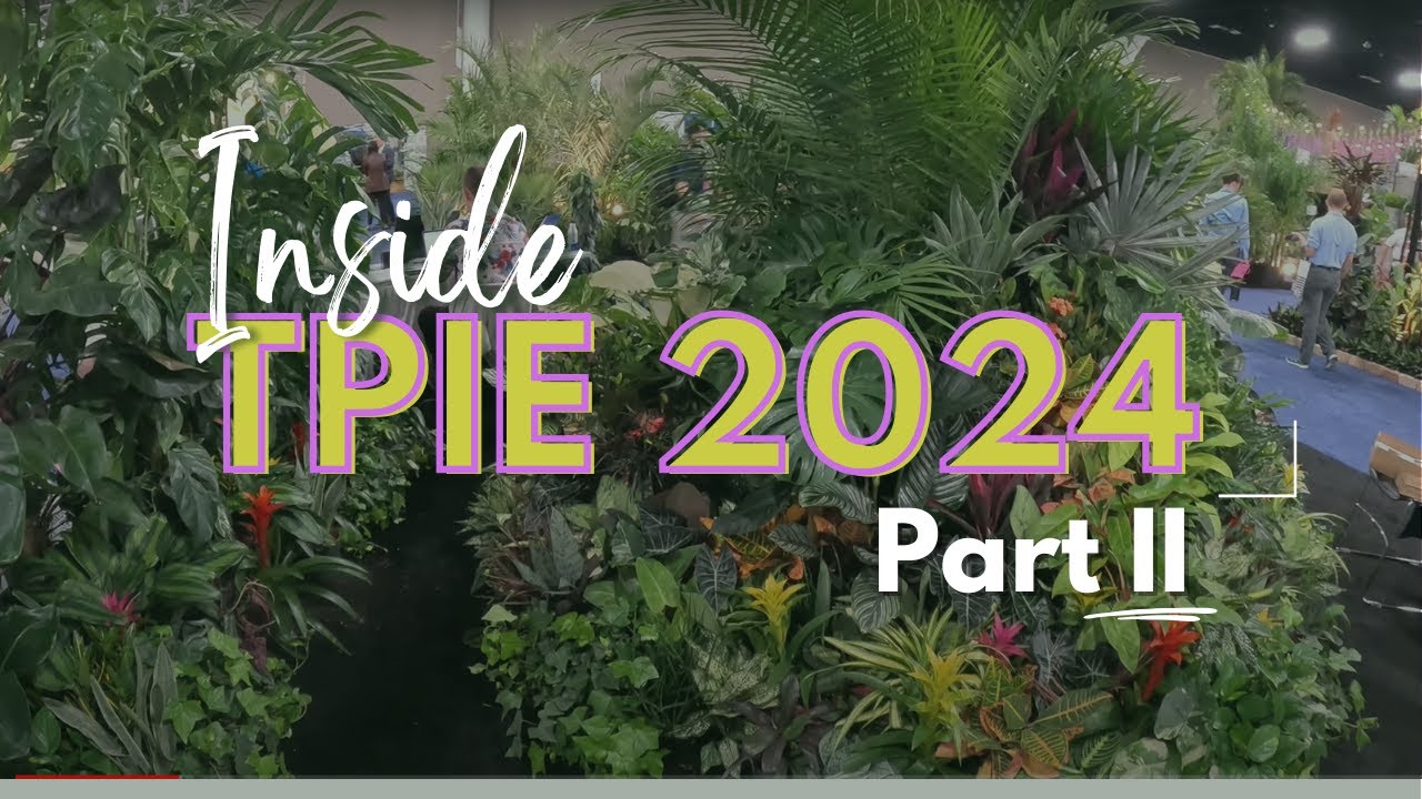 Inside TPIE 2024, Part 2: A Must-See Haven for Plant Lovers - YouTube