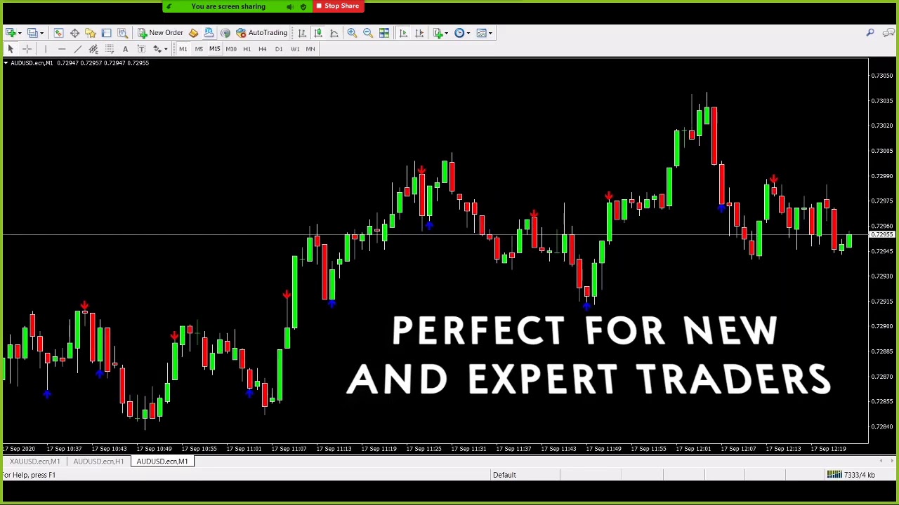 PLETHORA SOFTWARE SYSTEMS WEBINAR 9/19 - YouTube