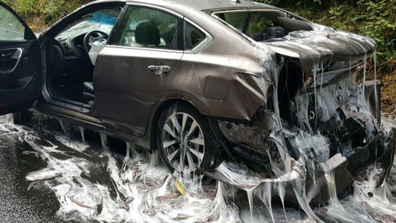 Real Life Slime Attacks That Will Give You Nightmares - YouTube