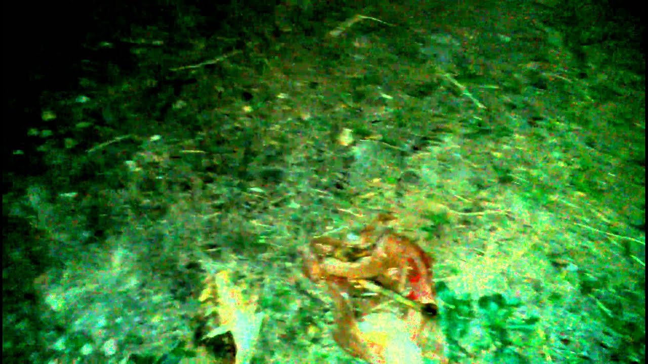 Demon Hissing at 3rd. Bridge Colorado /ghosts hiss - YouTube