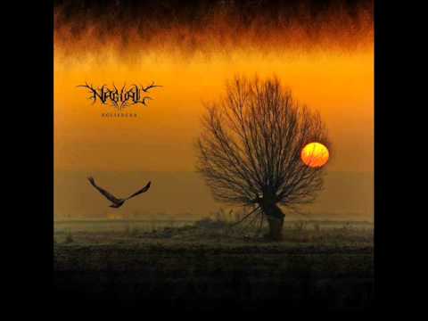 Negual - W nieznane - YouTube