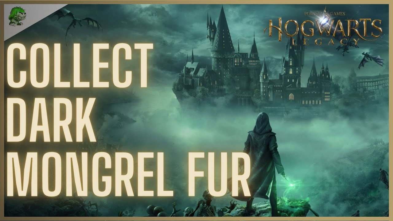 Hogwarts Legacy Collect Dark Mongrel Fur - YouTube