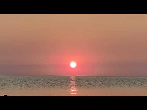 ΤΟ ΦΑΙΝΟΜΕΝΟ ΤΗΣ ΕΠΙΤΟΛΗΣ ΤΟΥ ΣΕΙΡΙΟΥ 2020 - YouTube