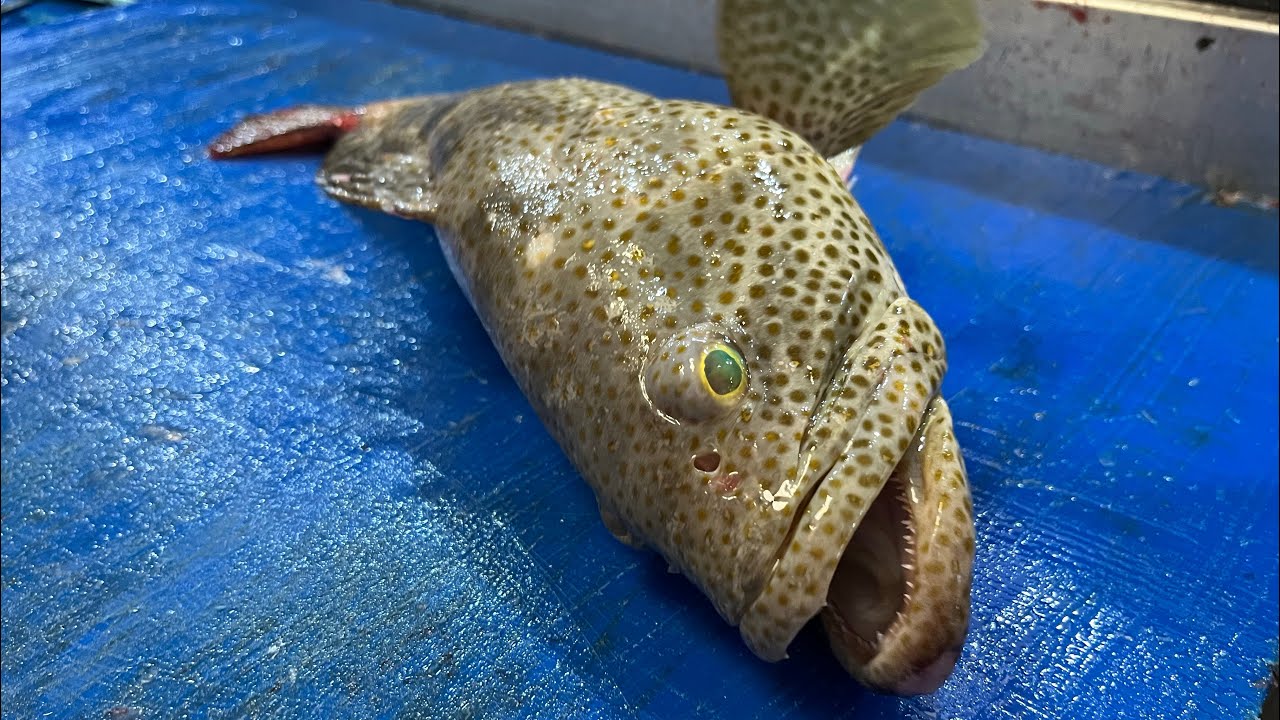 How to cut humour fish!fantastic skills(part-3) - YouTube