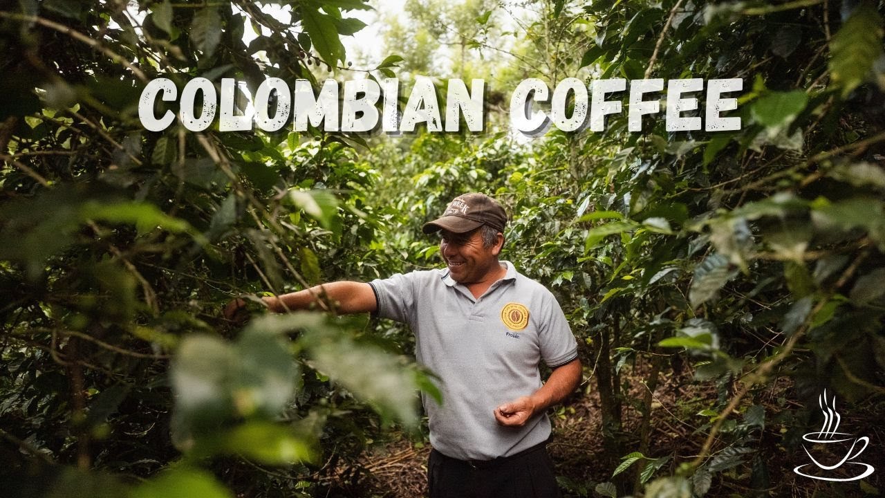 Learning how Coffee is Made start to Finish in Colombia. - YouTube