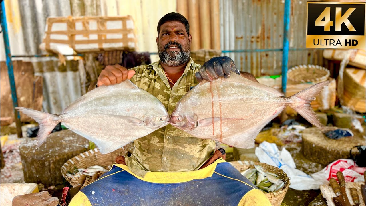 Vavval fish cutting video/fishcuttingrs#fishcuttingrs #kasimedu #fish ...