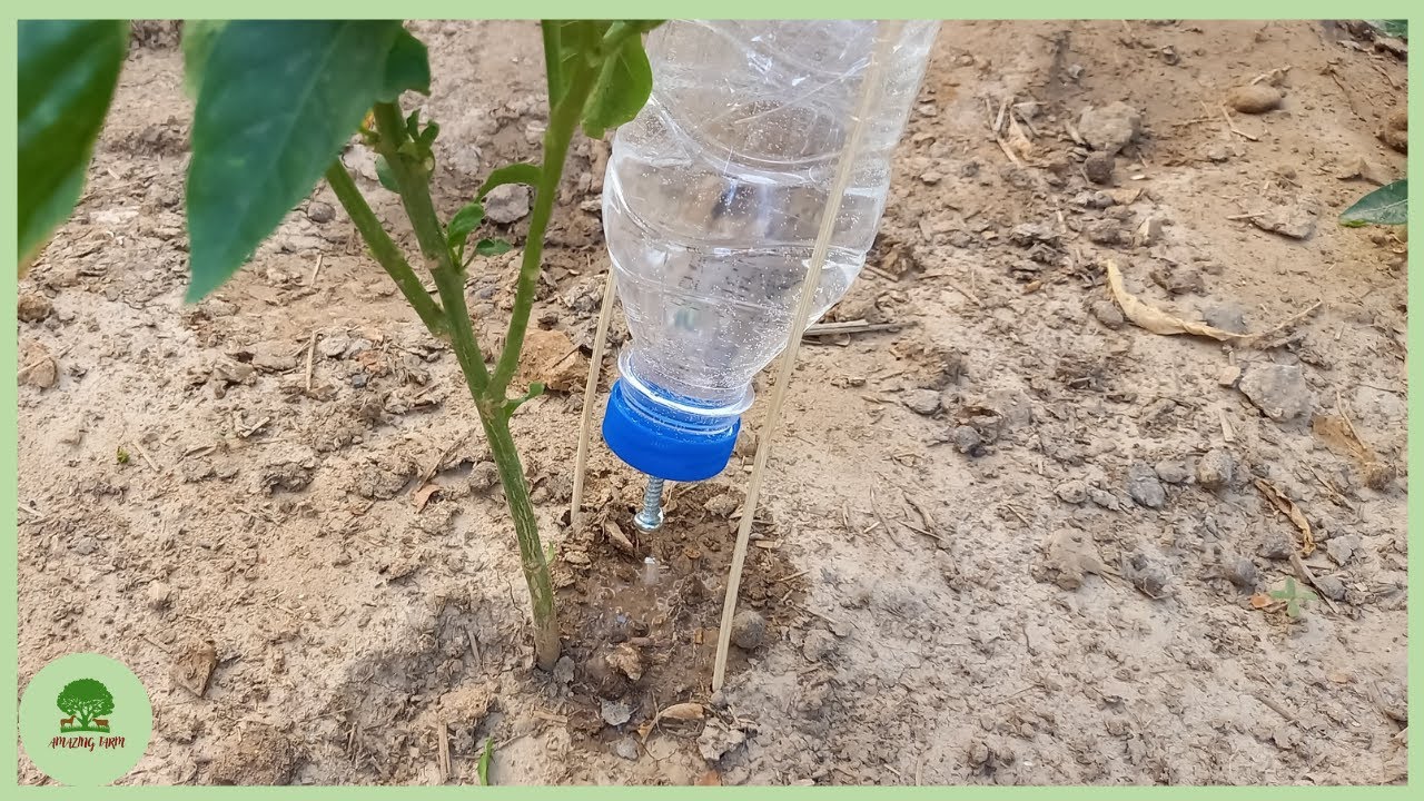 The easiest way to make a homemade drip irrigation system - YouTube