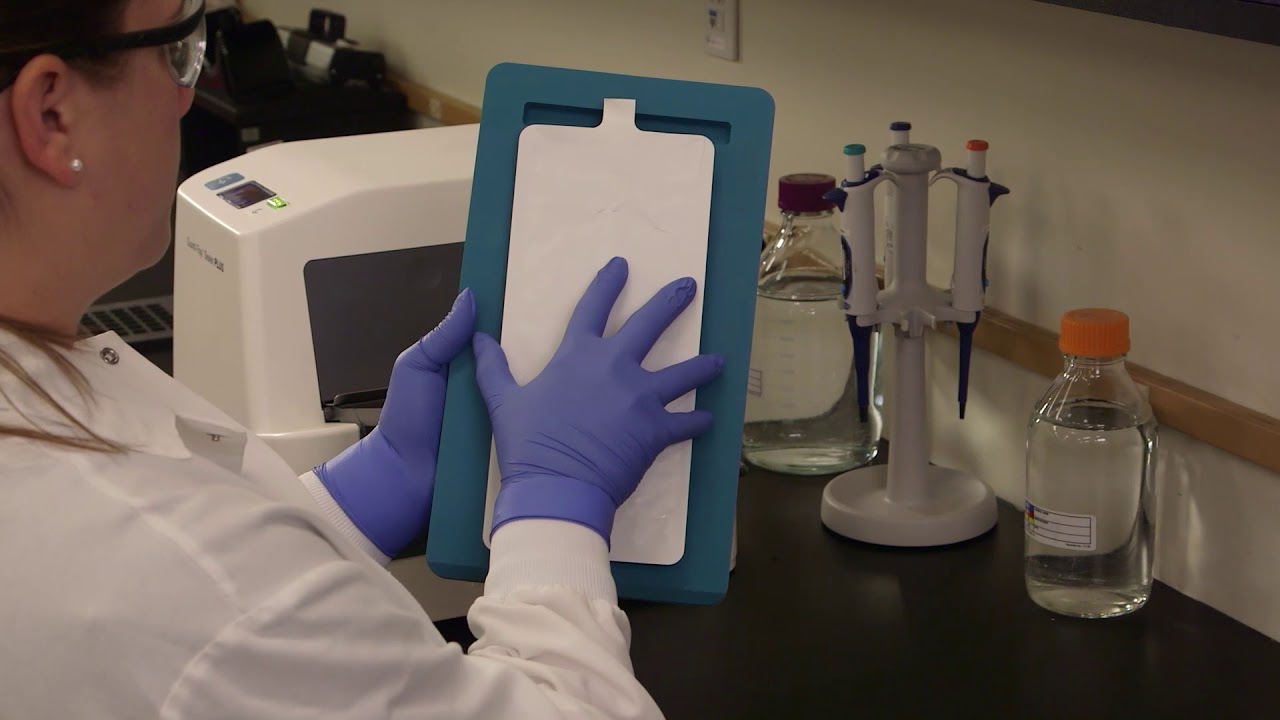 Enterolert Guida per l'utente - YouTube