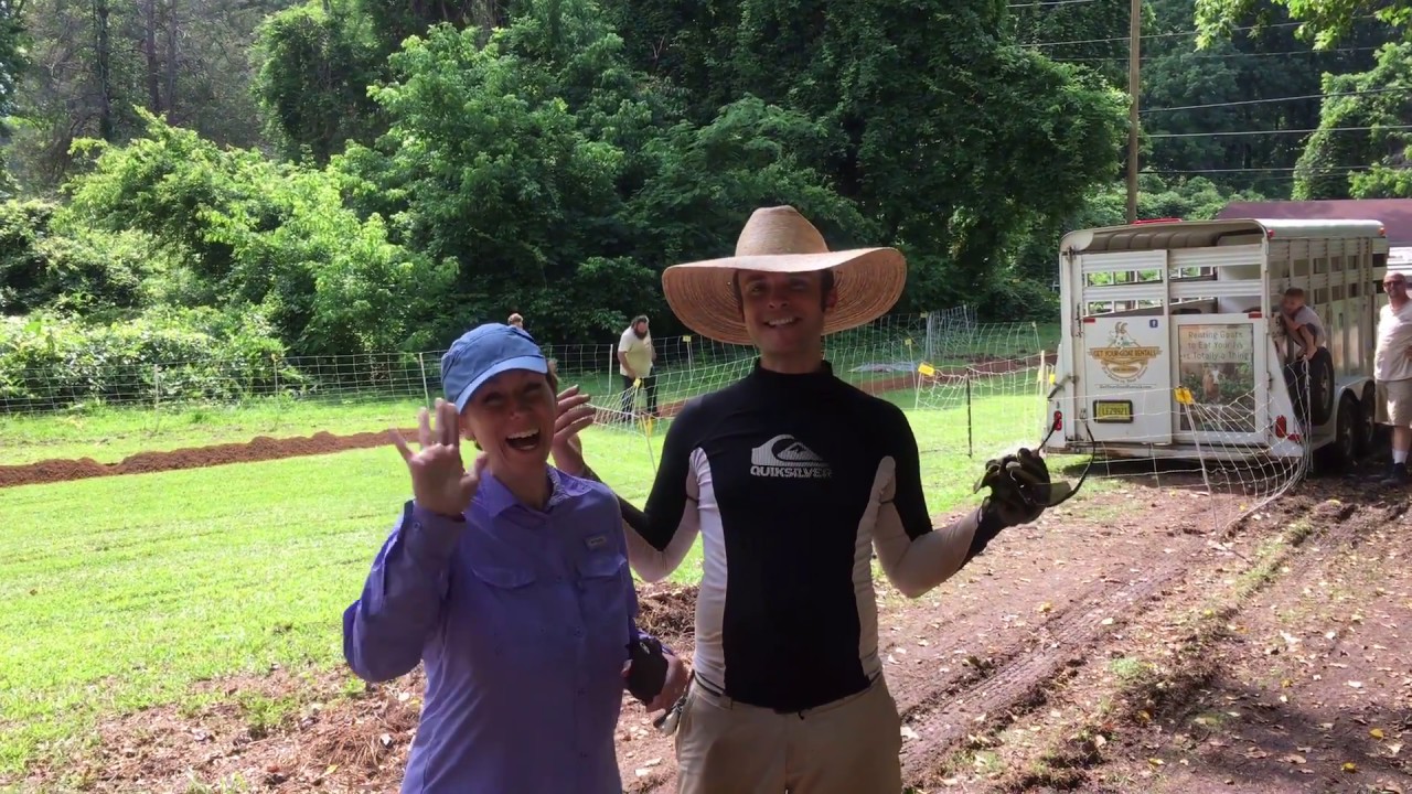 Homestead Begun: Rented Goats, Trenches, and Piles of Rocks - YouTube