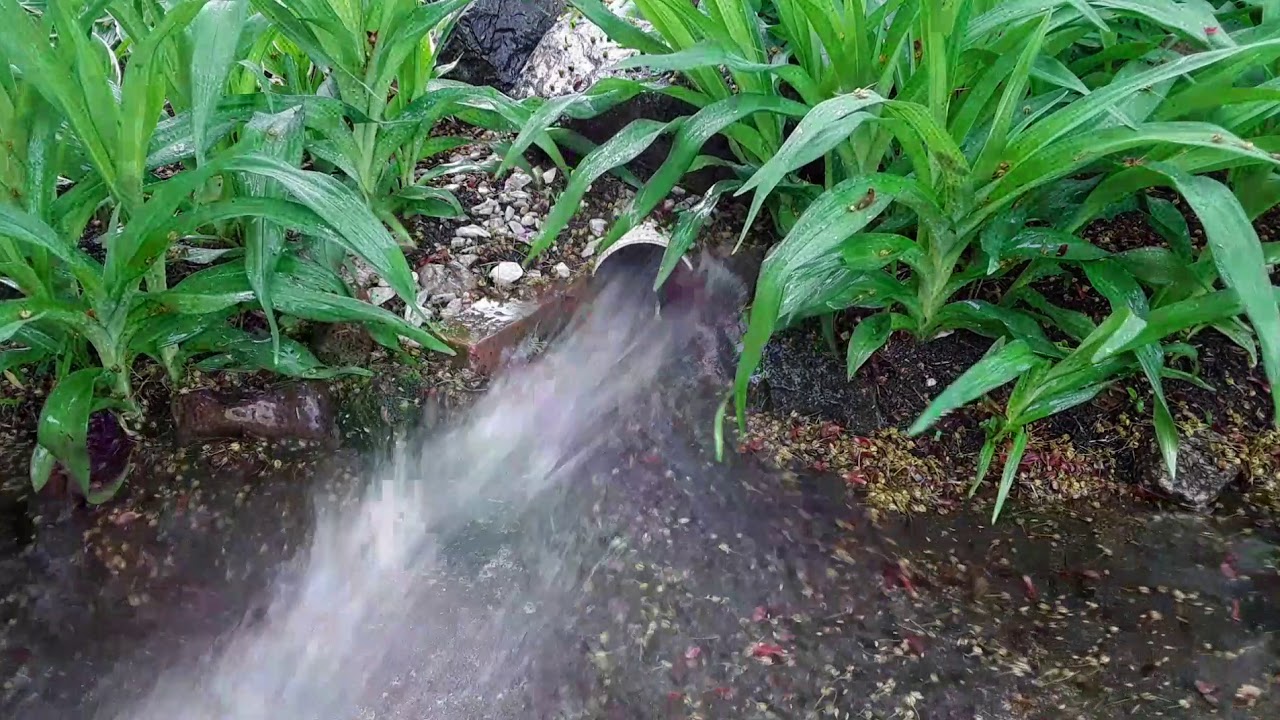 Blasting Fallen Tree Buds on Patio Through Culvert - YouTube