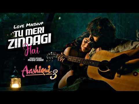 Tu Meri Zindagi Hai: Vishal Mishra | Full Song| Kartik Aaryan,Sreeleela | Aashiqui 3 lDiwali 2025
