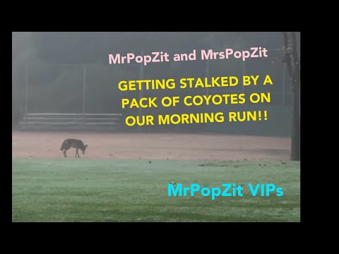 Mr. PopZit – MrPopZit Store