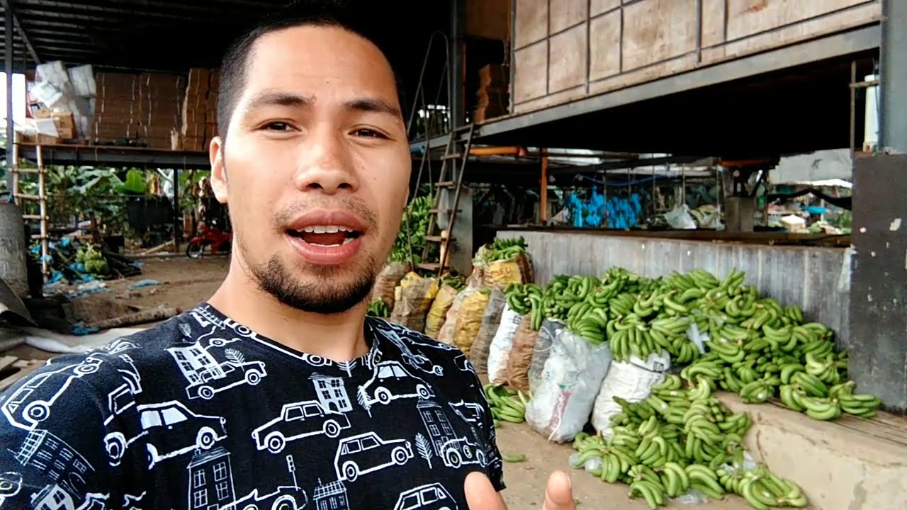 Sagingan ni Tisoy | Banana Farm - YouTube