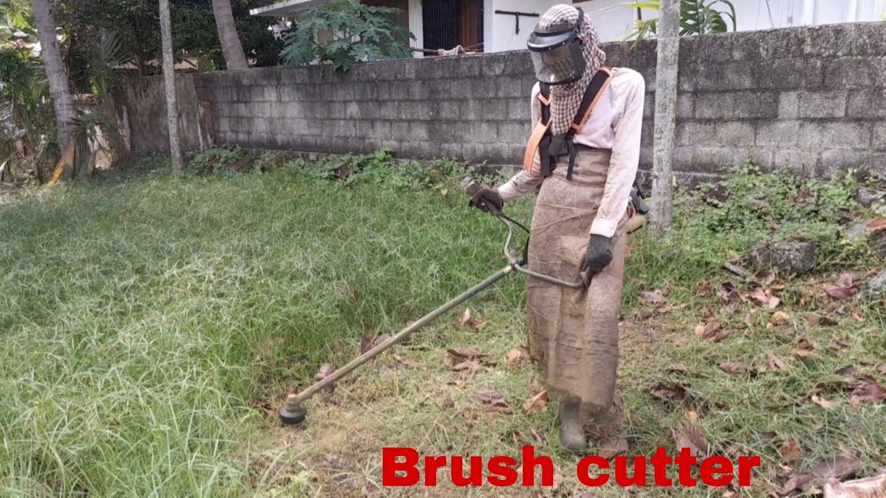 Grass cutting very fast by Grass Cutter// Brush cutter - YouTube