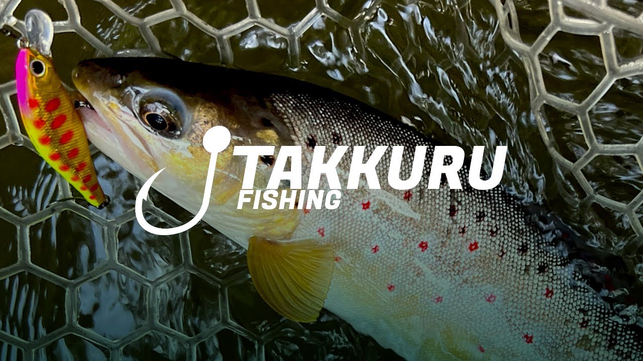 Austria Fishing Adventure - Warme Fischa (Palms & Tiemco Combo) - YouTube