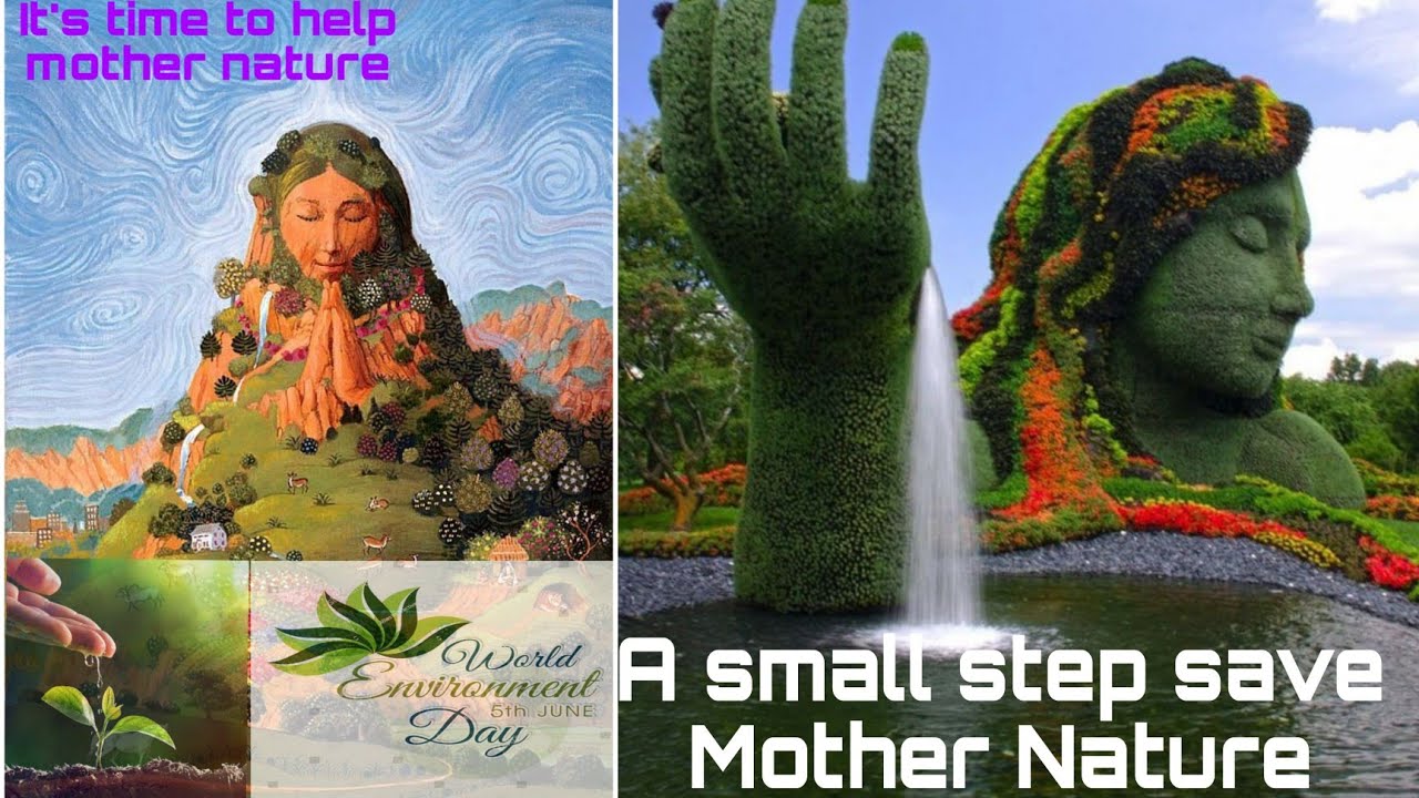 A small step can change Mother Nature/celebrating world 🌍 environment ...