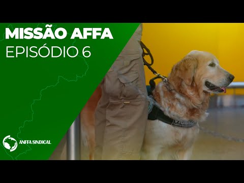 Missão AFFA - Episódio 6 - Vigiagro: Aeroporto - Terminal de Passageiros