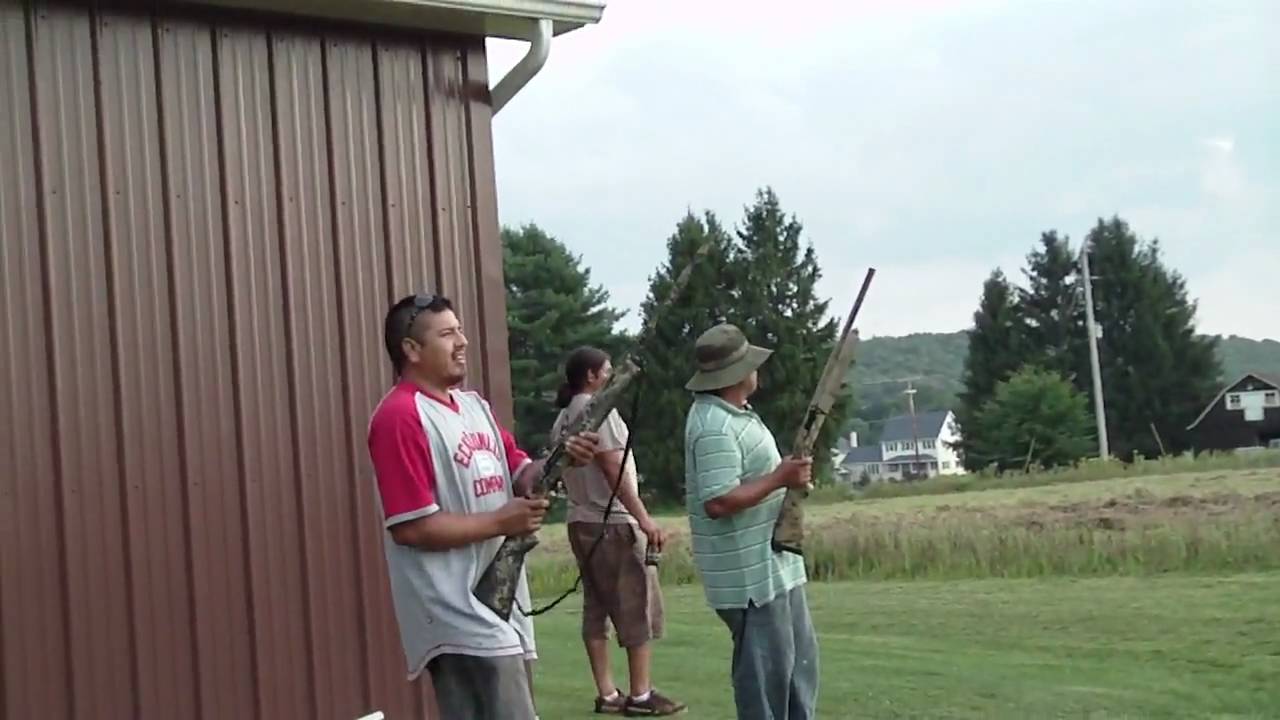 cazando palomas en pennsilvanya saludos a tula tamaulipas - YouTube