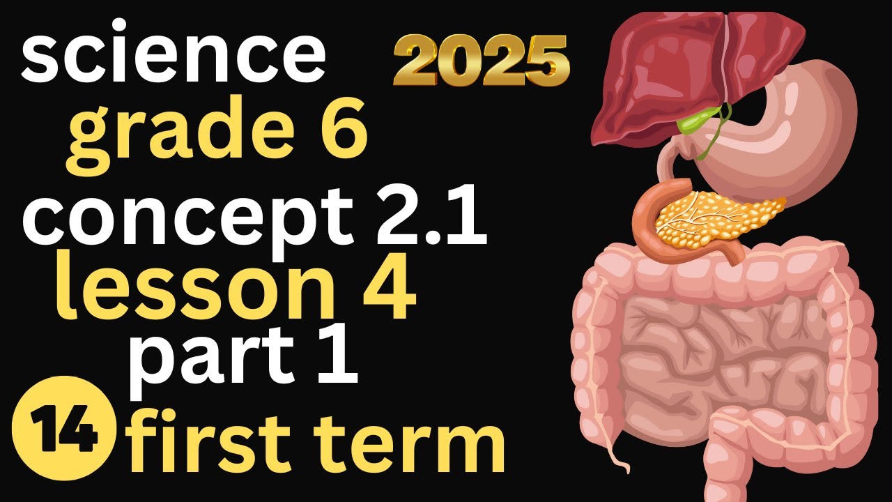 Science Grade 6 First Term 2025 Concept 2 lesson 4 2025 الترم الاول ...