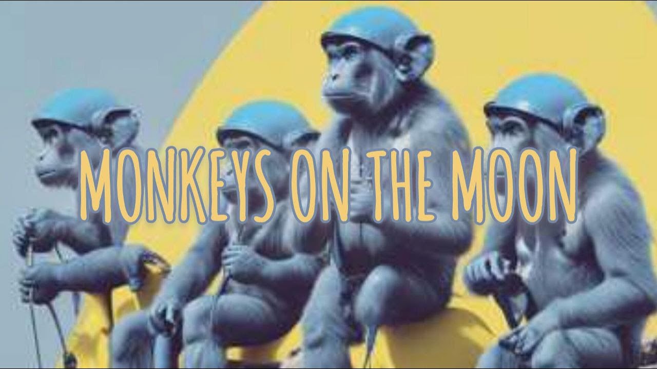 Monkeys on the Moon - music - YouTube