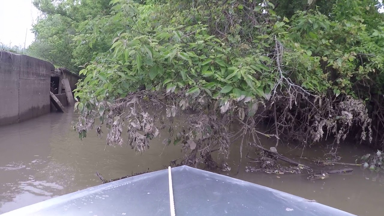 MIni Jet boat up a creek - YouTube