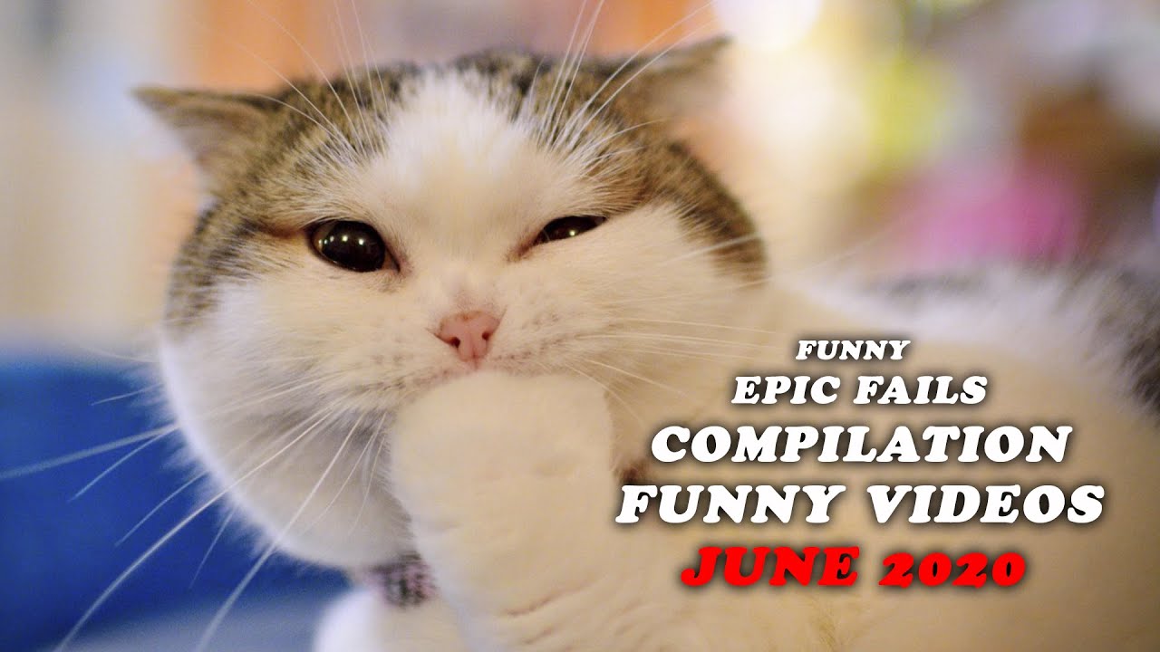 FUNNY/ EPIC FAILS/ COMPILATION /FUNNY VIDEOS/JUNE 2020 - YouTube