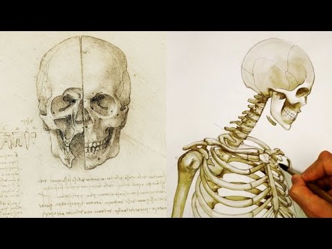 How to Draw a Portrait - YouTube